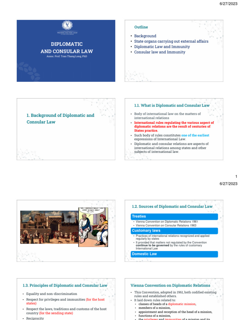 5-Diplomatic and Consular Law - 2024 | PDF | Diplomatic Rank ...