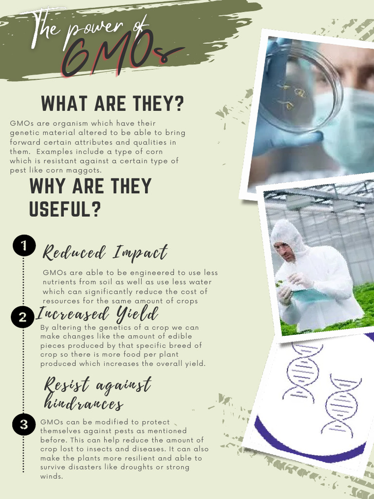 Benefits of GMOs in Crop Yield | PDF
