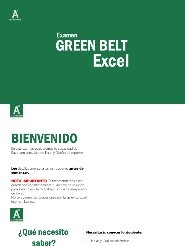 Caso - Barb Electronics | PDF | Microsoft Excel