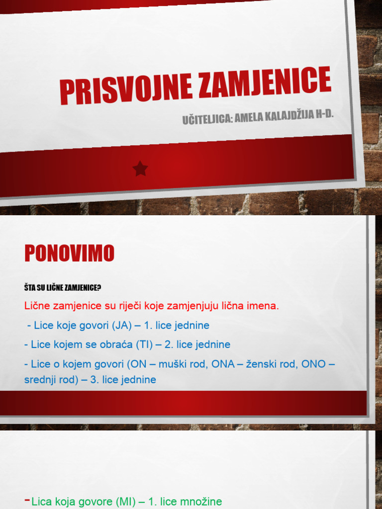 Prisvojne Zamjenice | PDF