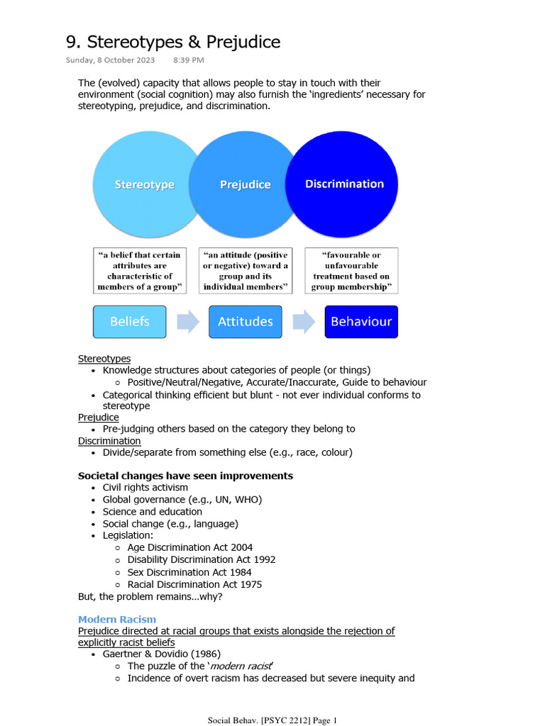 Stereotypes & Prejudice | PDF | Stereotypes | Prejudices