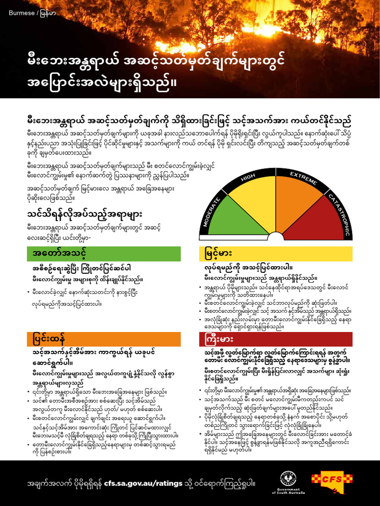 AFDRS Fact Sheet - Burmese | PDF