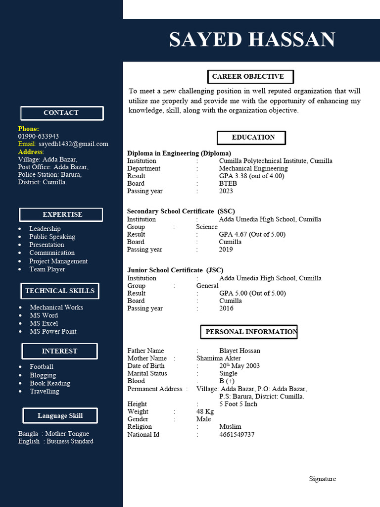 CV of Sayed Hassan | PDF