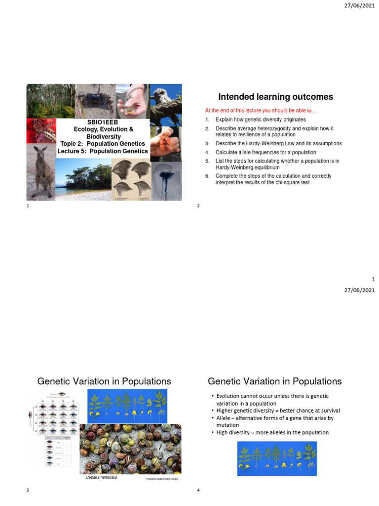 L5 - Population Genetics - 2021 | PDF | Zygosity | Genetics