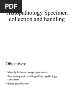 Lecture 1 - Introduction To Histopathology | PDF | Histopathology ...