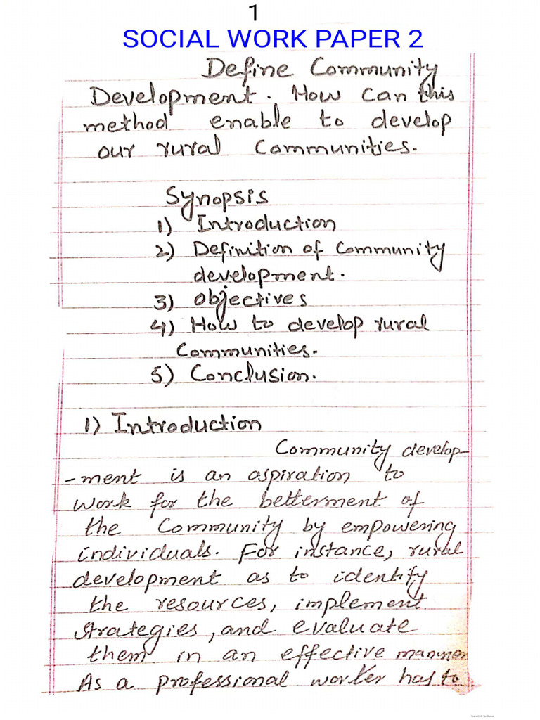 Community Development Social Work Paper 2 | PDF