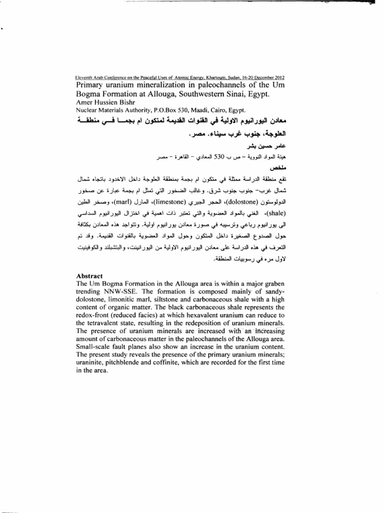 Primary Uranium Mineralizati©n in Pale ) Channels of The Um B©gma ...