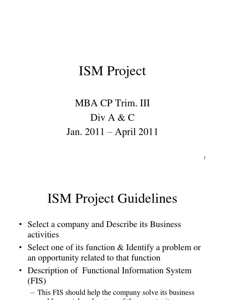 ISM Project Guidelines Overview | PDF | Enterprise Resource Planning ...