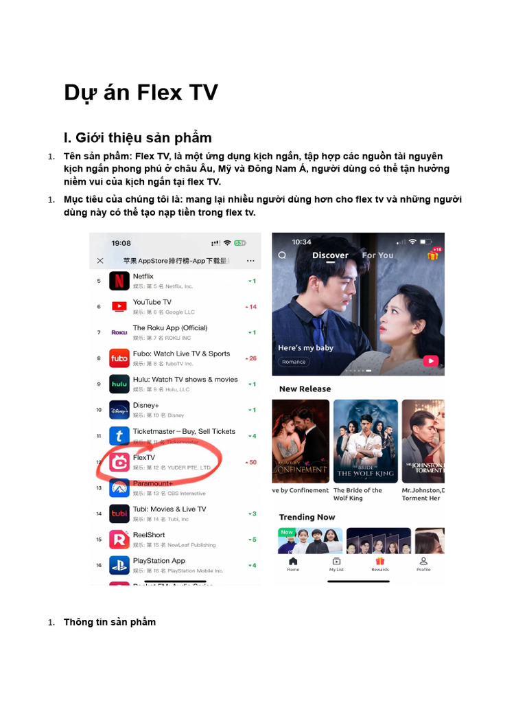D Án Flex TV | PDF