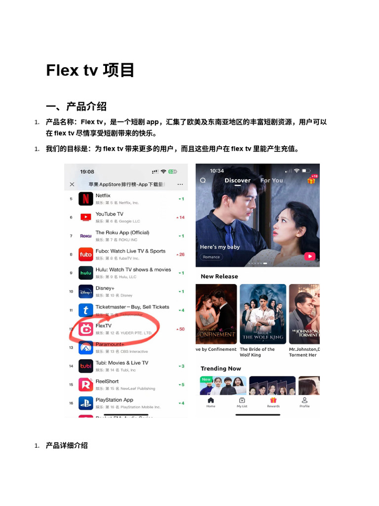 Flex tv 项目 | PDF