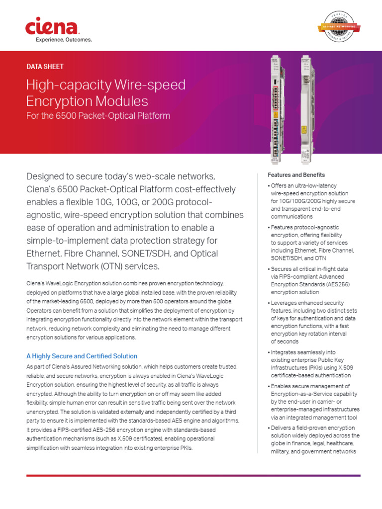 High Capacity Wire Speed Encryption Modules DS | PDF | Computer Network | Cryptography