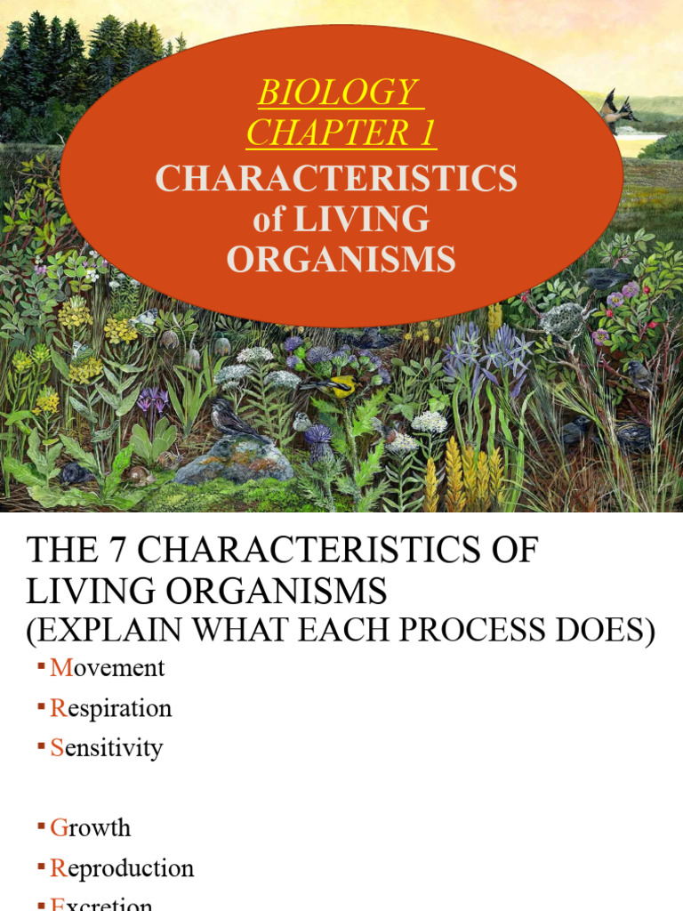 Chapter 1 - Classification of Living Things | PDF | Taxonomy (Biology ...