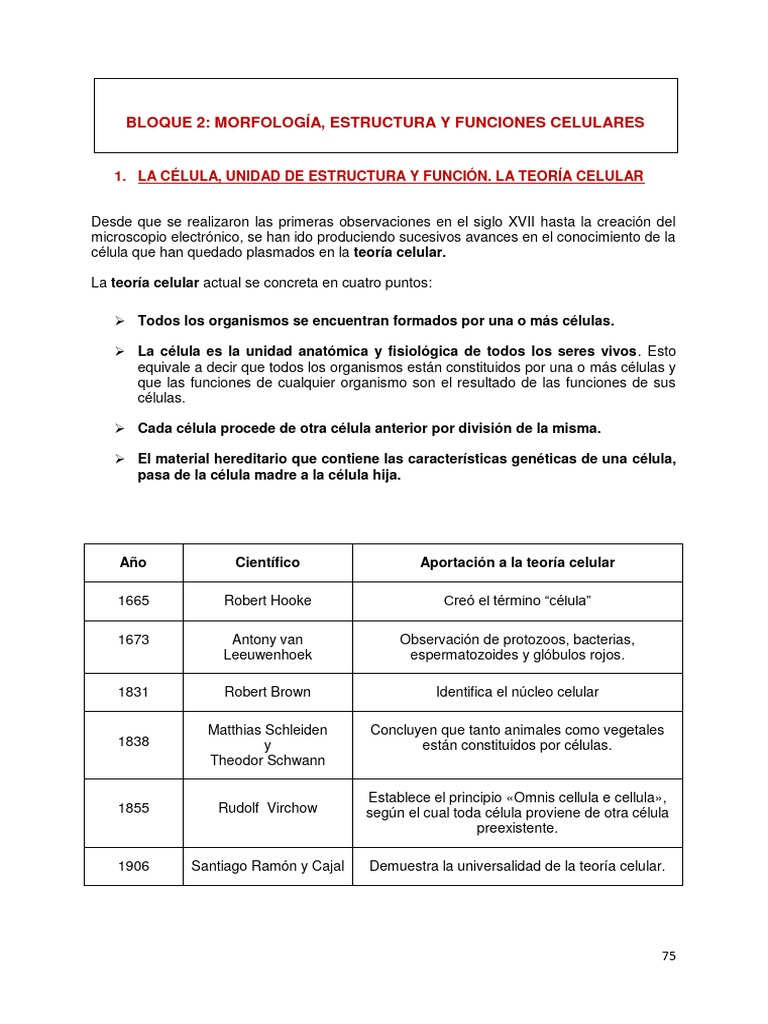 BloqueII.Estudioymodelosdeorganizacioncelular | Descargar gratis PDF | Biología Celular ...