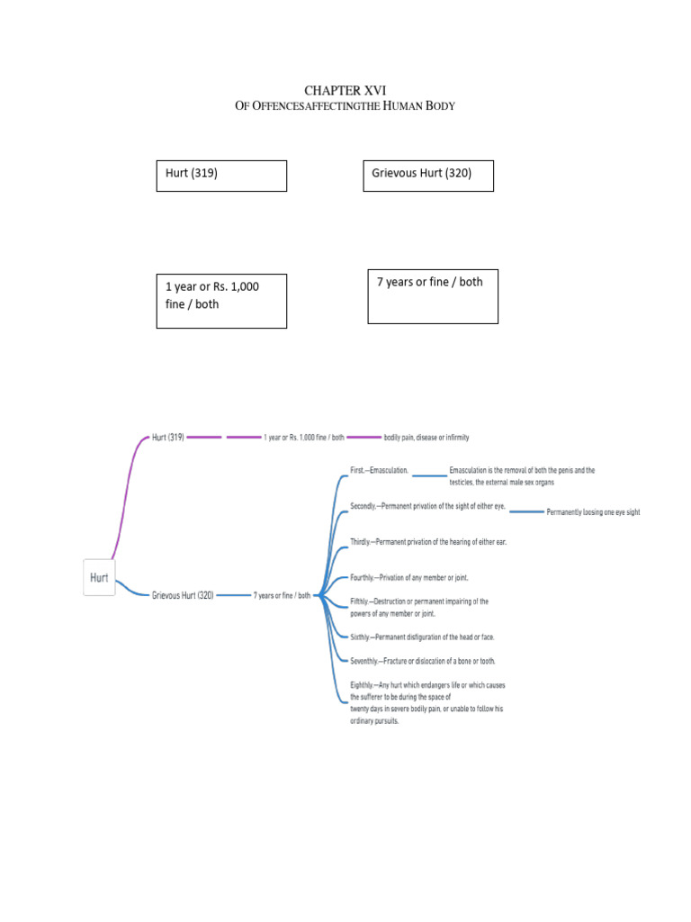 Unit III - IPC | Download Free PDF | Assault | Crimes