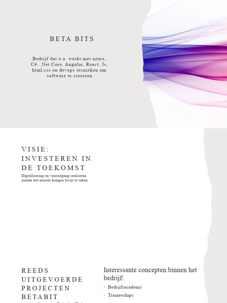 Beta Bits - Sollicitatie-Presentatie | PDF