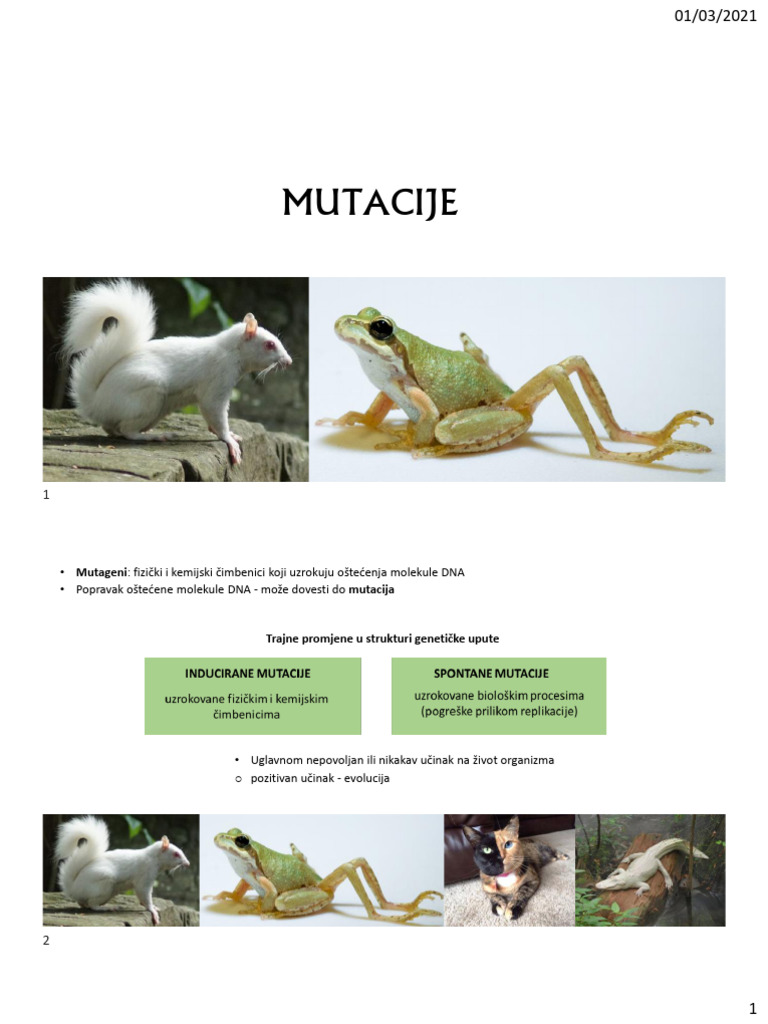 5 - Mutacije | PDF
