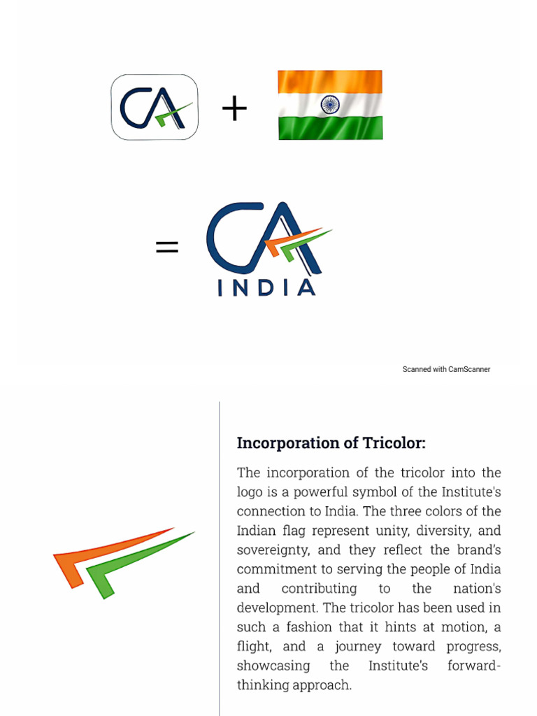 LOGO GUIDELINES - ICAI | PDF