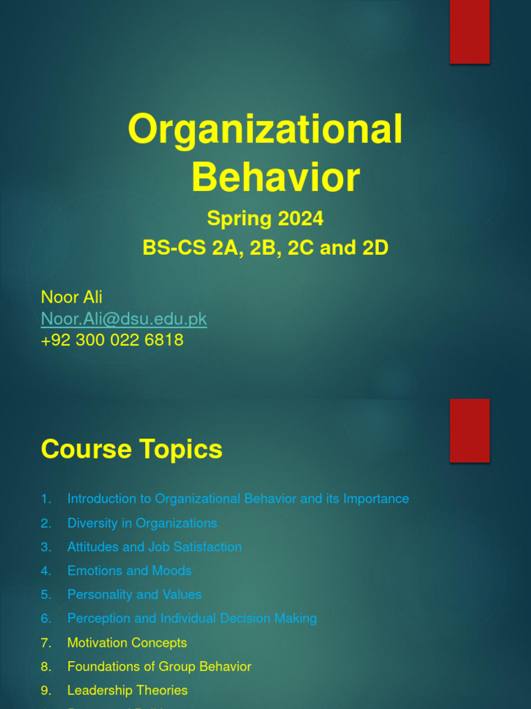 OB Chapter 1 Introdcution - Noor Ali | PDF | Organizational Behavior | Psychology