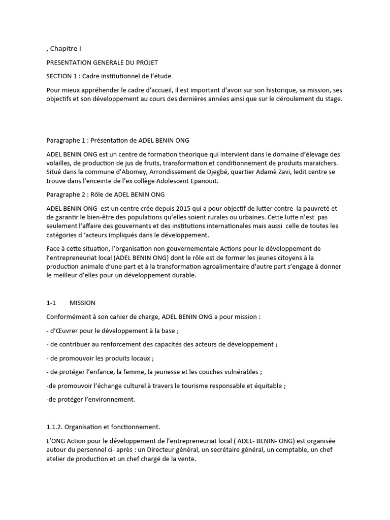 Présentation d'ADEL BENIN ONG et Stage | PDF | Comptabilité | Business