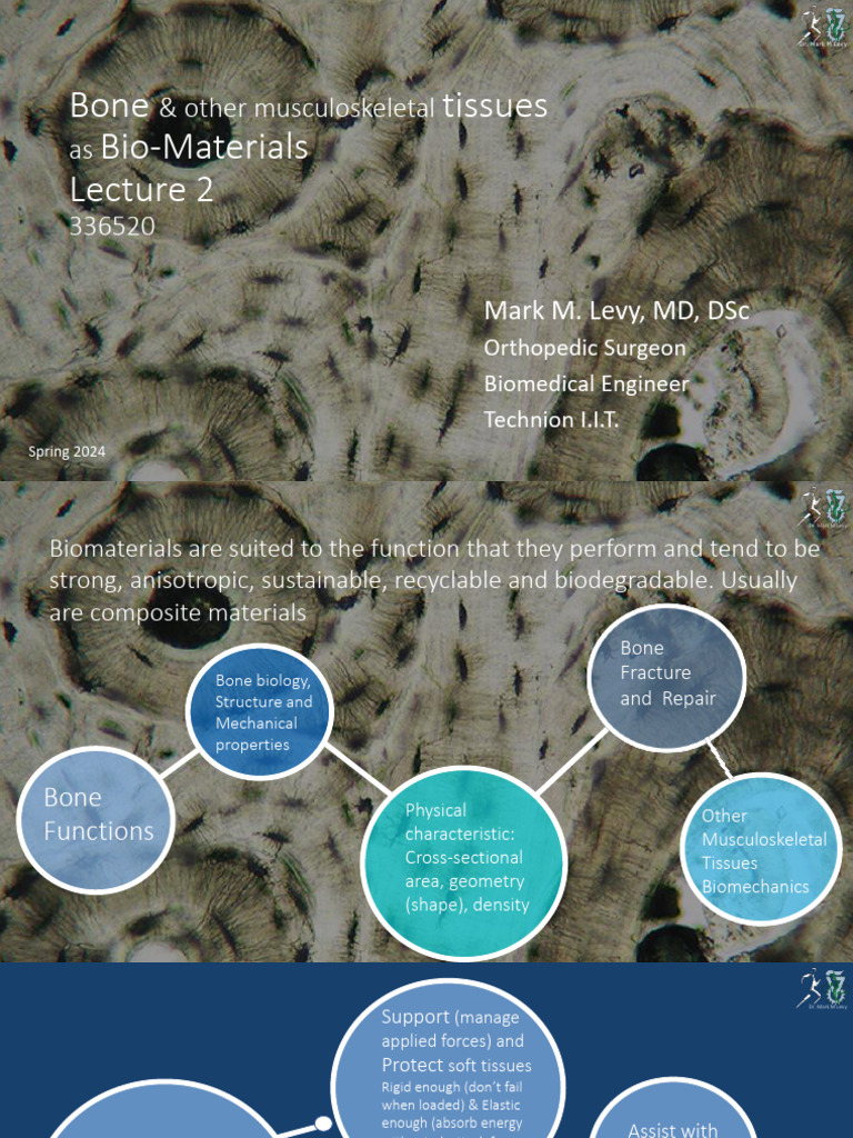 Lecture2 2024 | PDF | Bone | Osteoblast