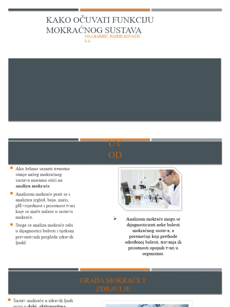 Kako Očuvati Funkciju Mokraćnog Sustava | PDF