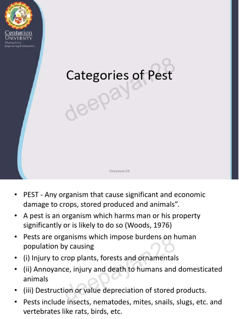Categories of Insect Pest | PDF | Pest (Organism) | Rice