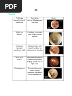 Teed Scale Descriptions | PDF