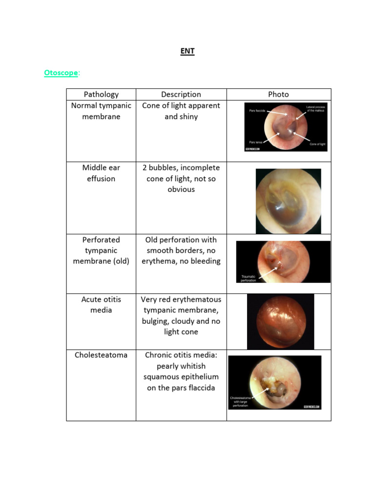 Otoscope | PDF | Ear | Hearing