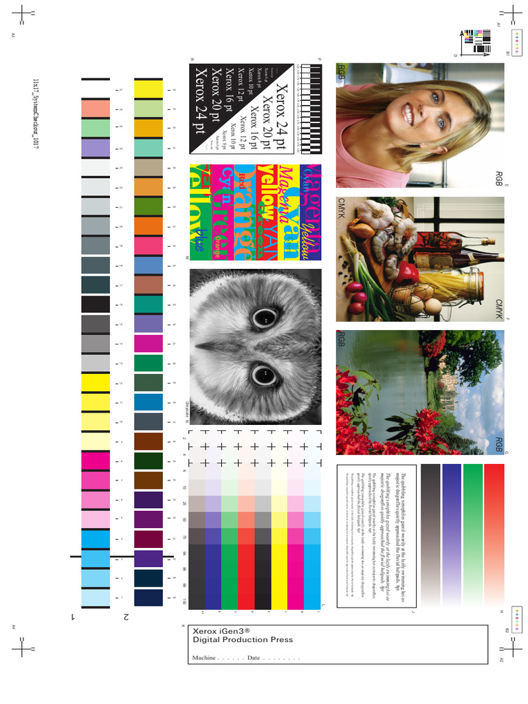 11x17 SystemCheckout 1017 | PDF