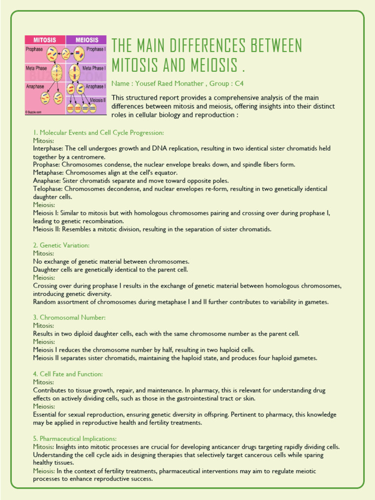 The Main Differences Between Mitosis and Meiosis .: Name: Yousef Raed ...