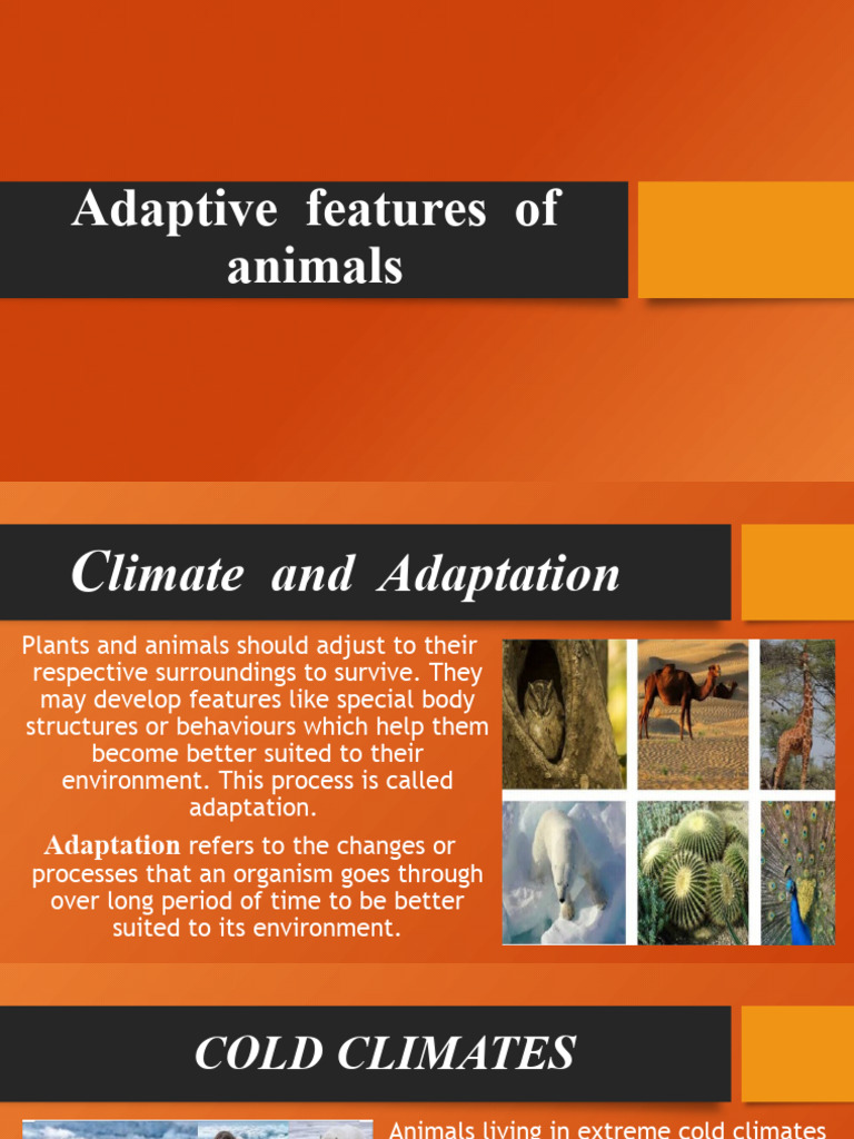 Adaptive Features of Animals | PDF | Frog | Meerkat