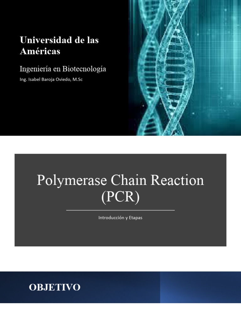 PCR - Concepto y Fundamento | Descargar gratis PDF | Reacción en cadena ...