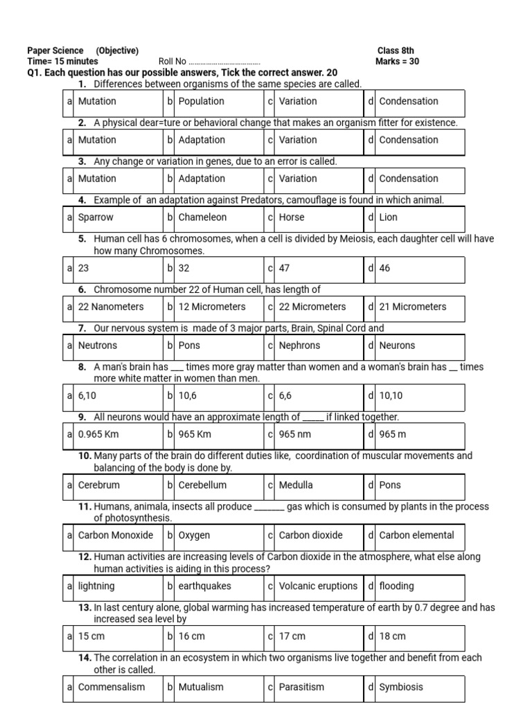 8th Science | PDF | Brain | Human Brain