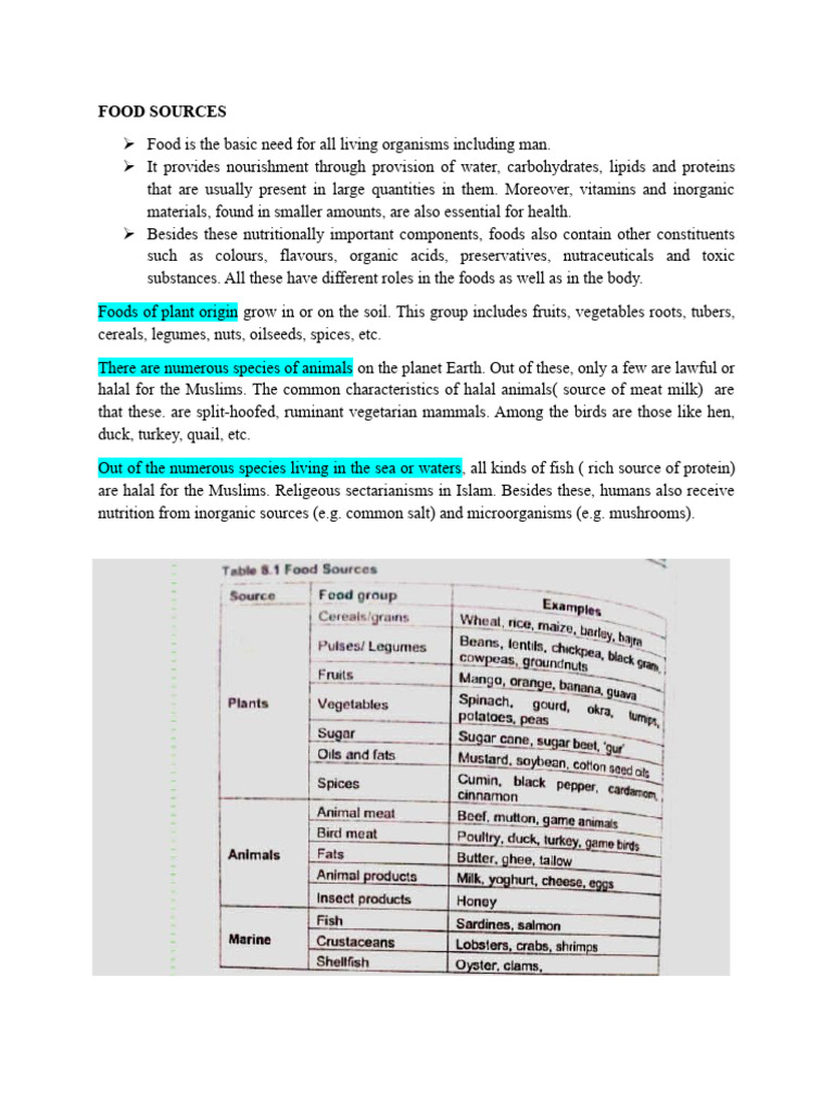 Halal Food Sources, Identification of Ingredients by E Numbers | PDF ...