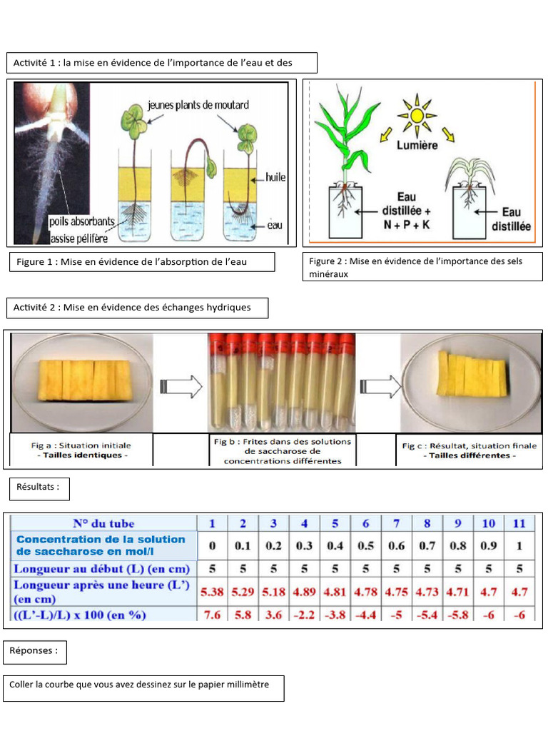 Importance de l'eau et des échanges cellulaires | PDF | Sciences et ...