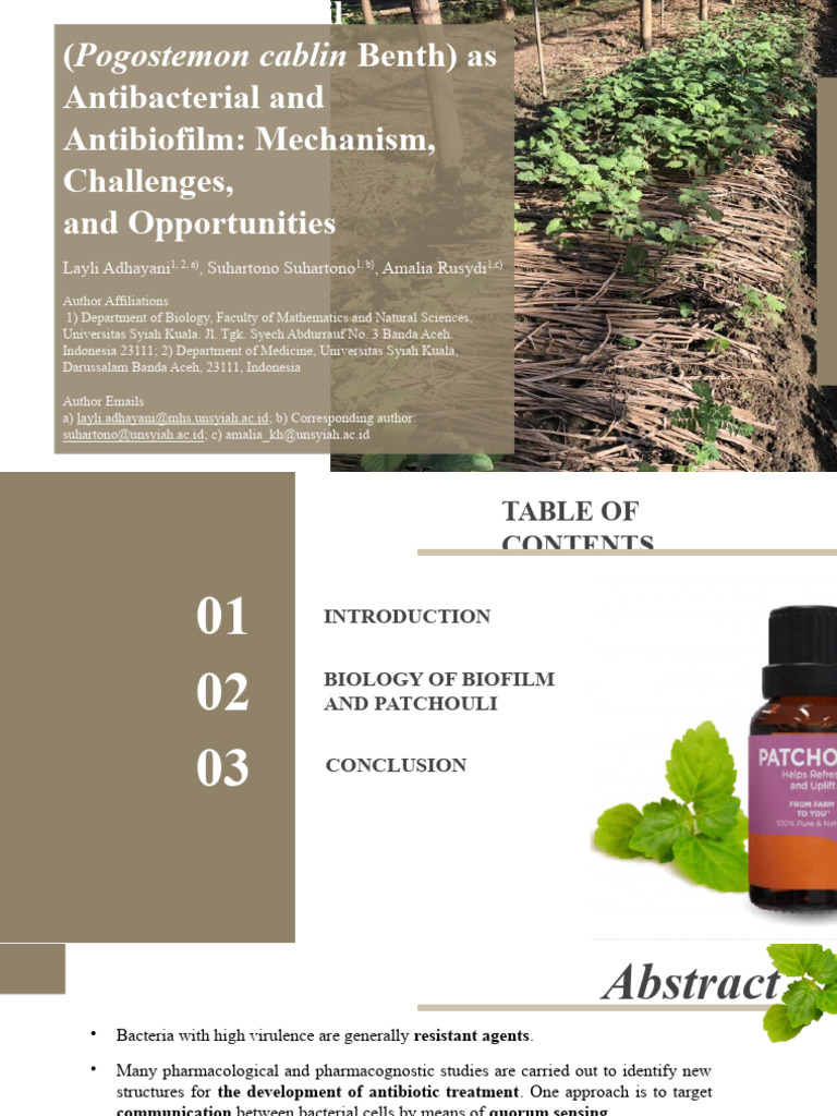 Aceh Patchouli Oil Pogostemon Cablin Benth As Antibacterial And