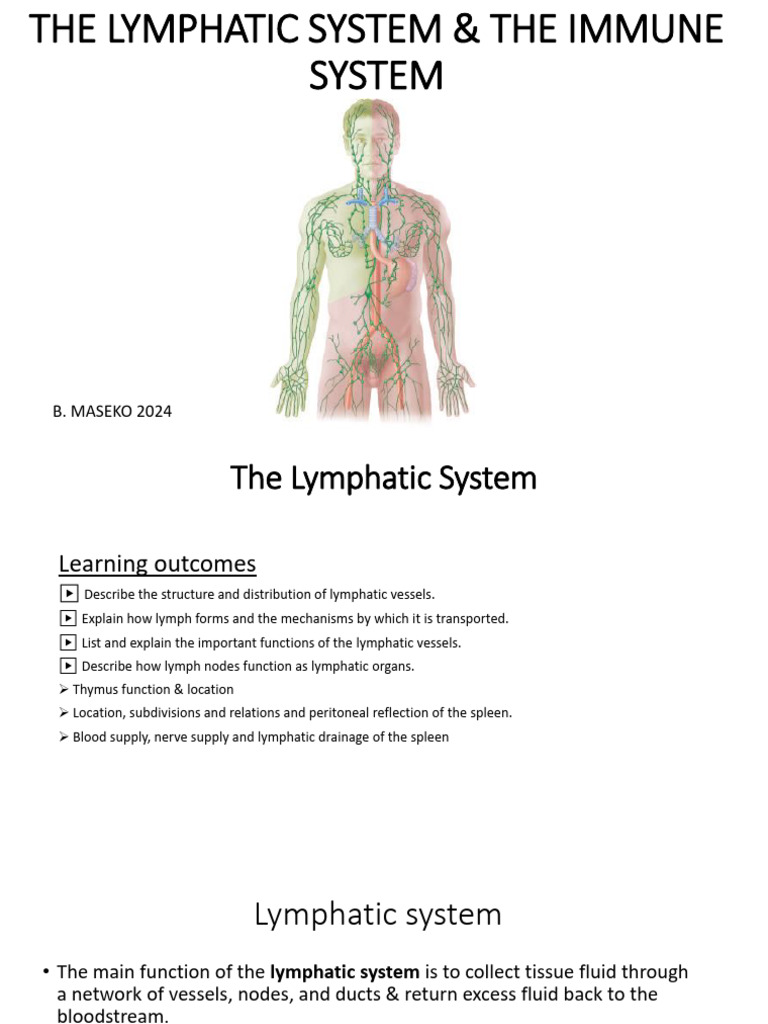 THE lymphatic system & THE IMMUNE SYSTEM.pdf | PDF | Lymphatic System | Lymph Node