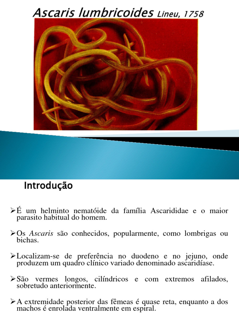 5 - Ascaris lumbricoides | PDF