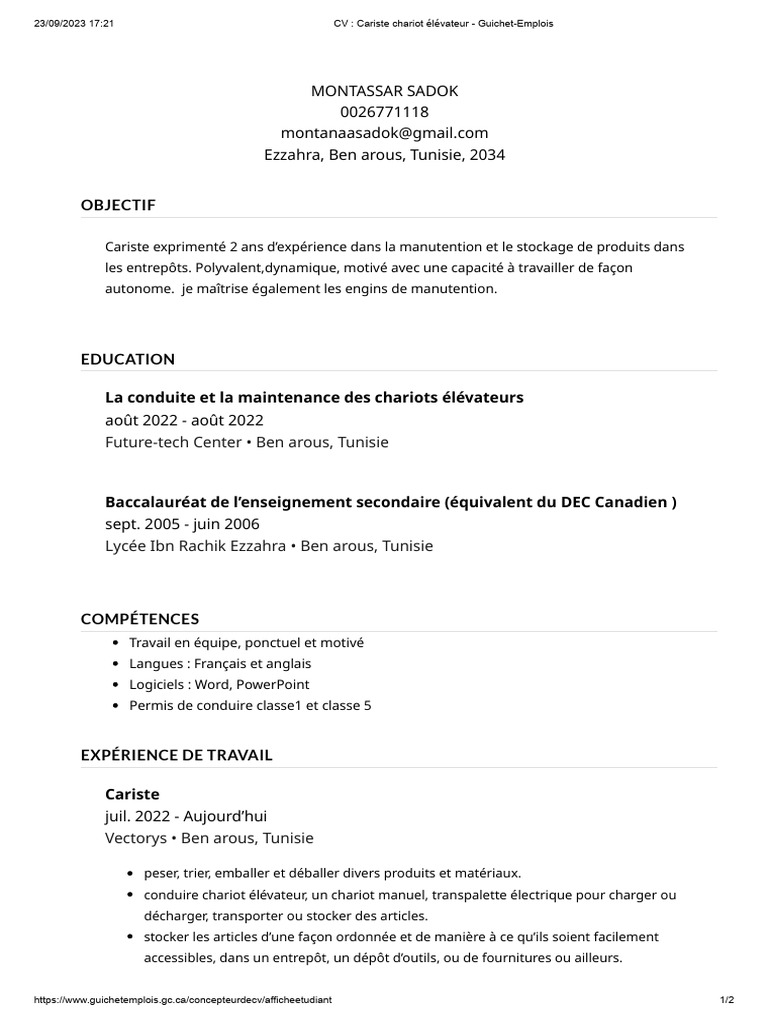 CV - Cariste | PDF