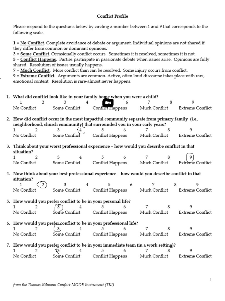 Lmih Conflict Profile Assignment | PDF | Experience | Psychological Concepts