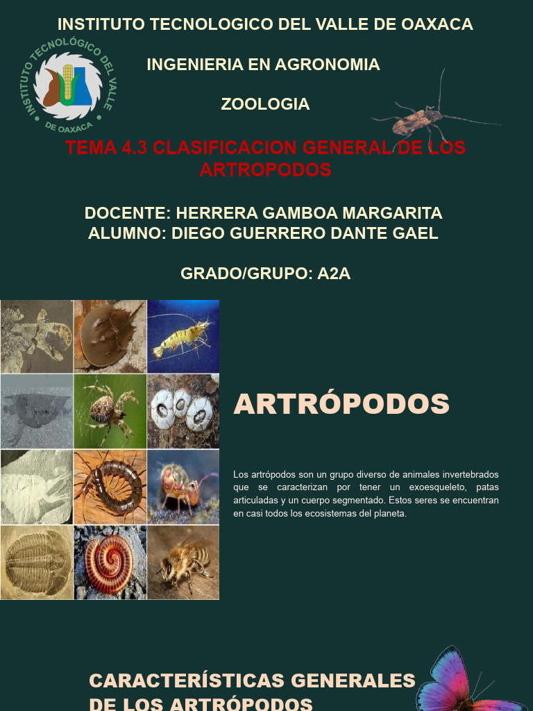4.3 Clasificacion General de Artropodos (Diego Guerrero Dante Gael a2a ...