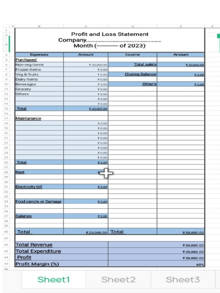 Sample Worksheet of P&L Statement | PDF