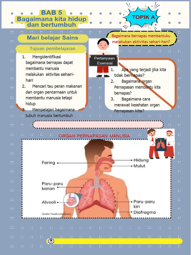 Kls 5# IPAS BAB 5 Bagaimana Kita Hidup Dan Bertumbuh | PDF