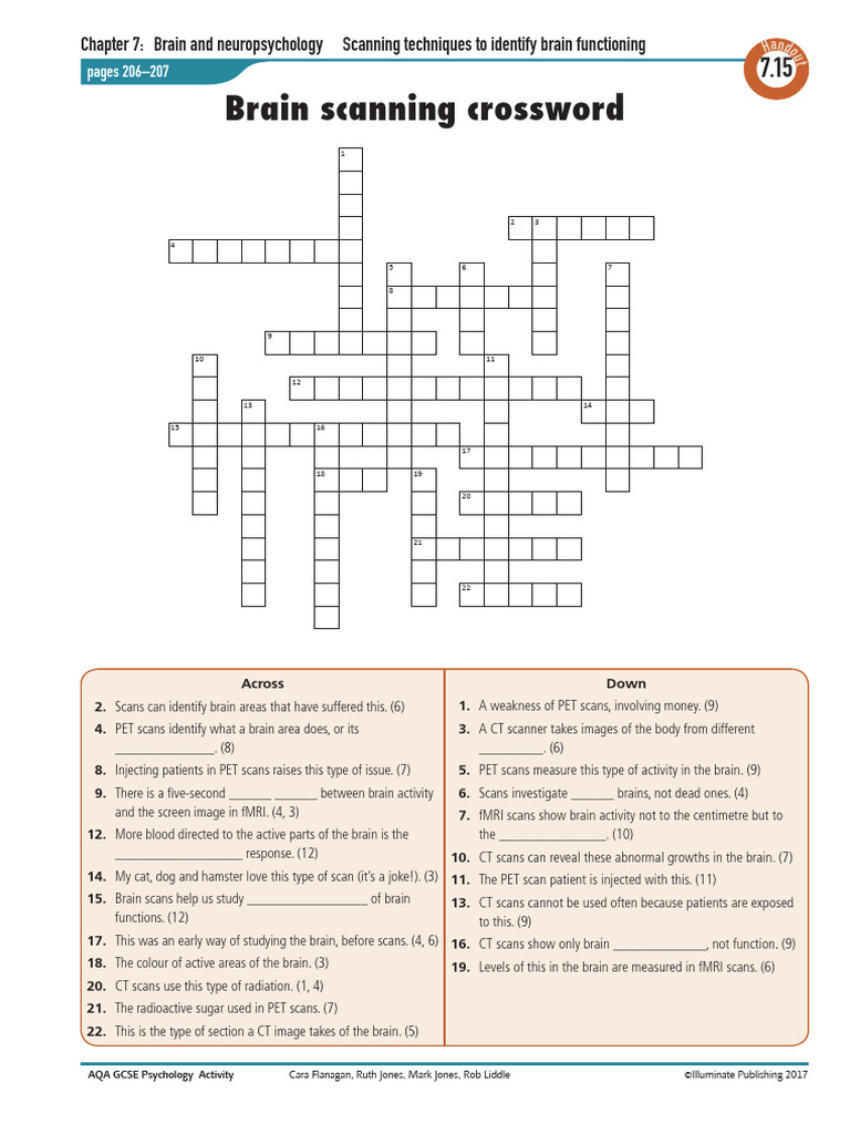 Handout - Brain Scanning Crossword | PDF | Neuroimaging | Ct Scan