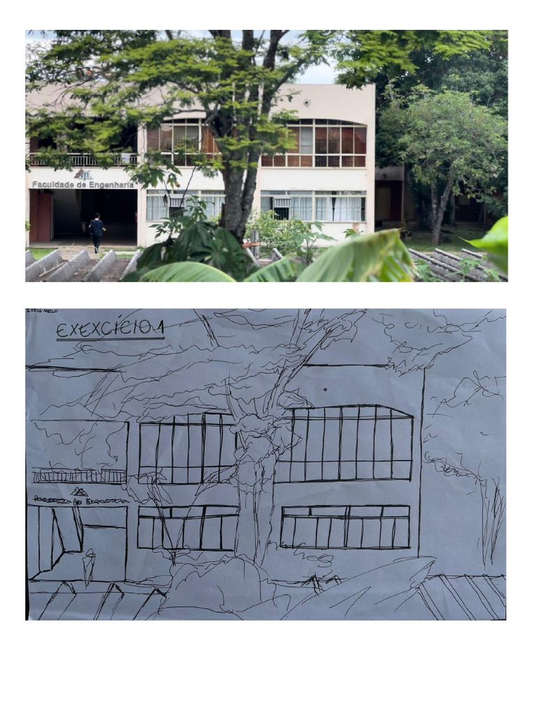 Ema - Módulo 1 | PDF