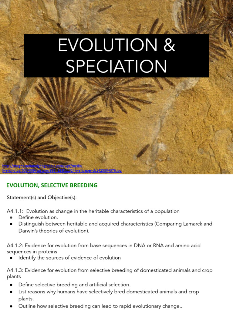 Biology 11 - Evolution & Selective Breeding | Download Free PDF ...