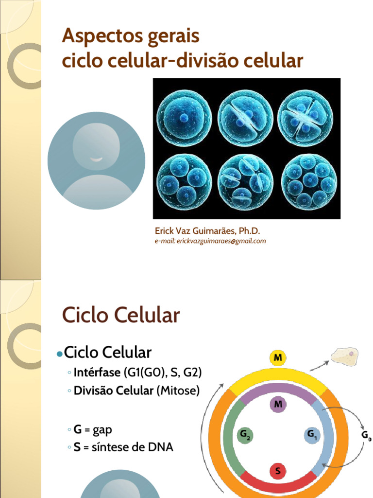 Aula - Ciclo Celular e Divisão Celular | PDF | Mitose | Meiose