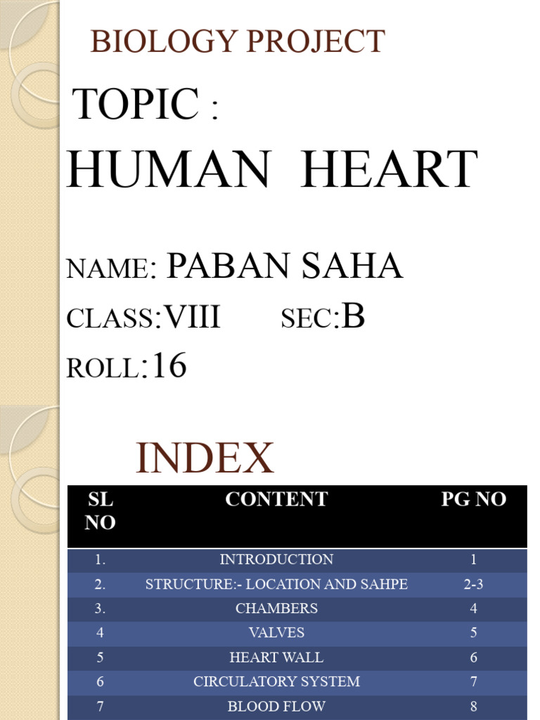 Biology Project | PDF | Heart | Heart Valve