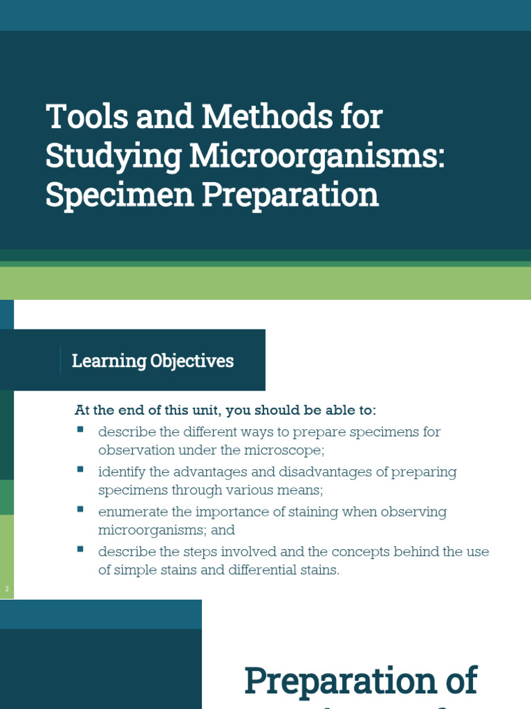 Microbiology Guide | PDF | Staining | Gram Positive Bacteria