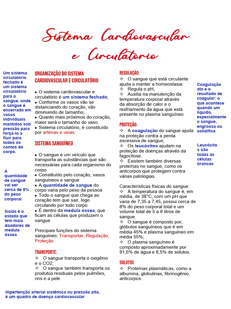 Anatomia II - 02 Sistema Cardiovascular e Circulatório - Resumo | PDF ...